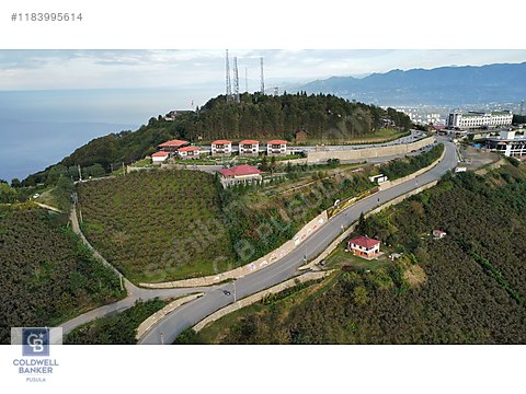 ORDU BOZTEPE DE DENİZ VE DOĞA MANZARALI SATILIK ARAZİ - Satılık Arsa ...
